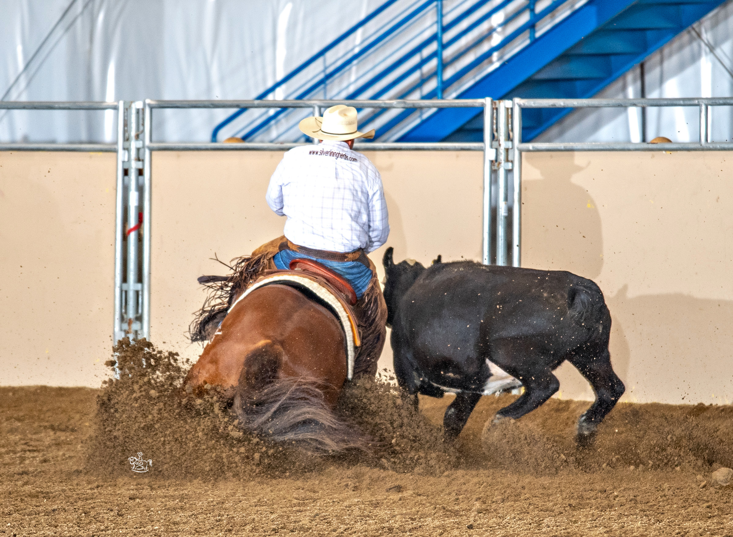 Intermountain Reined Cow Horse Circuit