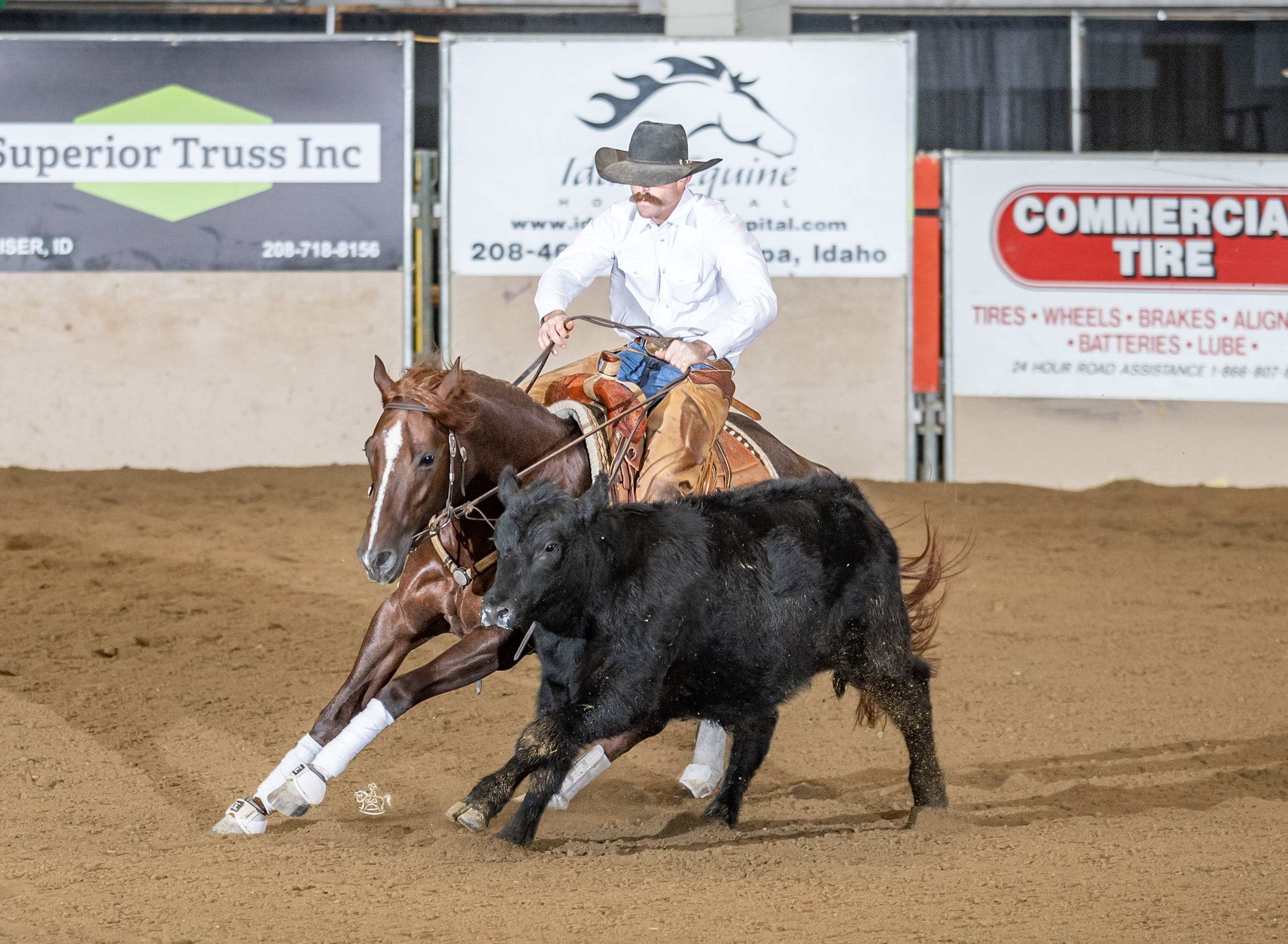 Intermountain Reined Cow Horse Circuit